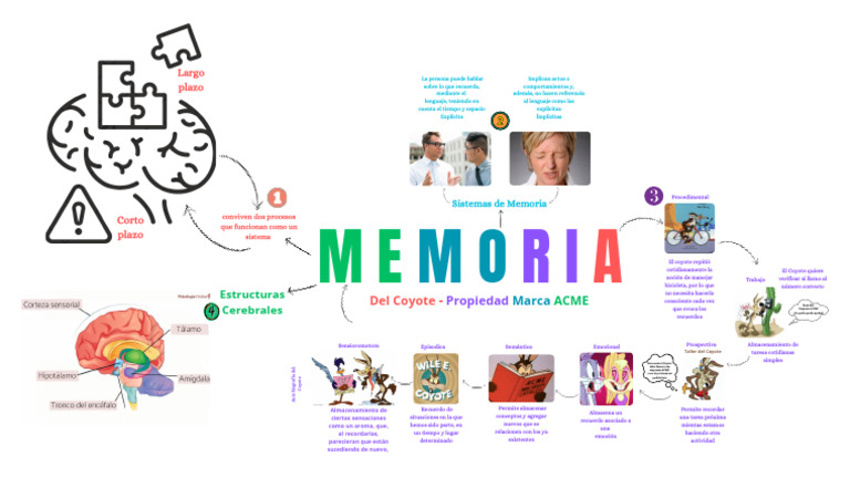 Ejemplo de mapa conceptual: memoria | PDF | Memoria | Cerebro