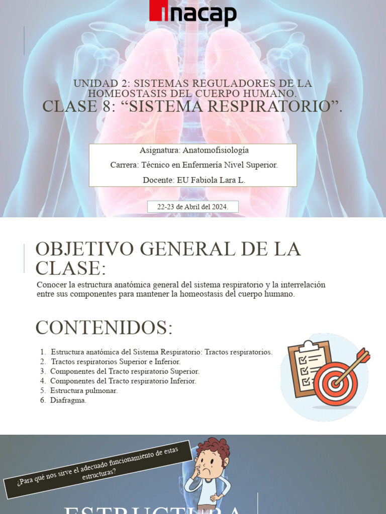 U2 Clase 8 - Sistema Respiratorio. | PDF | Pulmón | Laringe