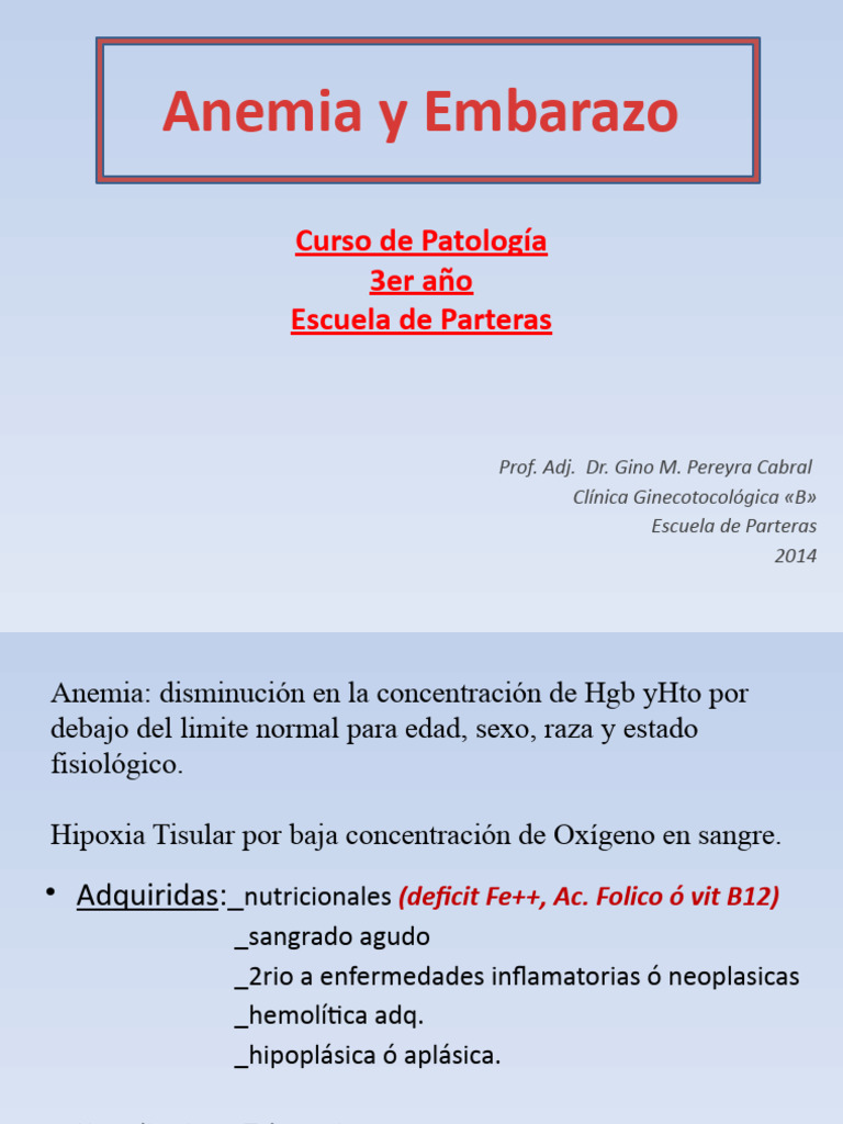 Anemia y Embarazo: Causas y Tratamiento | PDF | Anemia | El embarazo