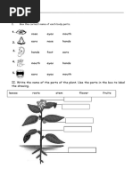 Admission Test Paper Grade 1 | PDF