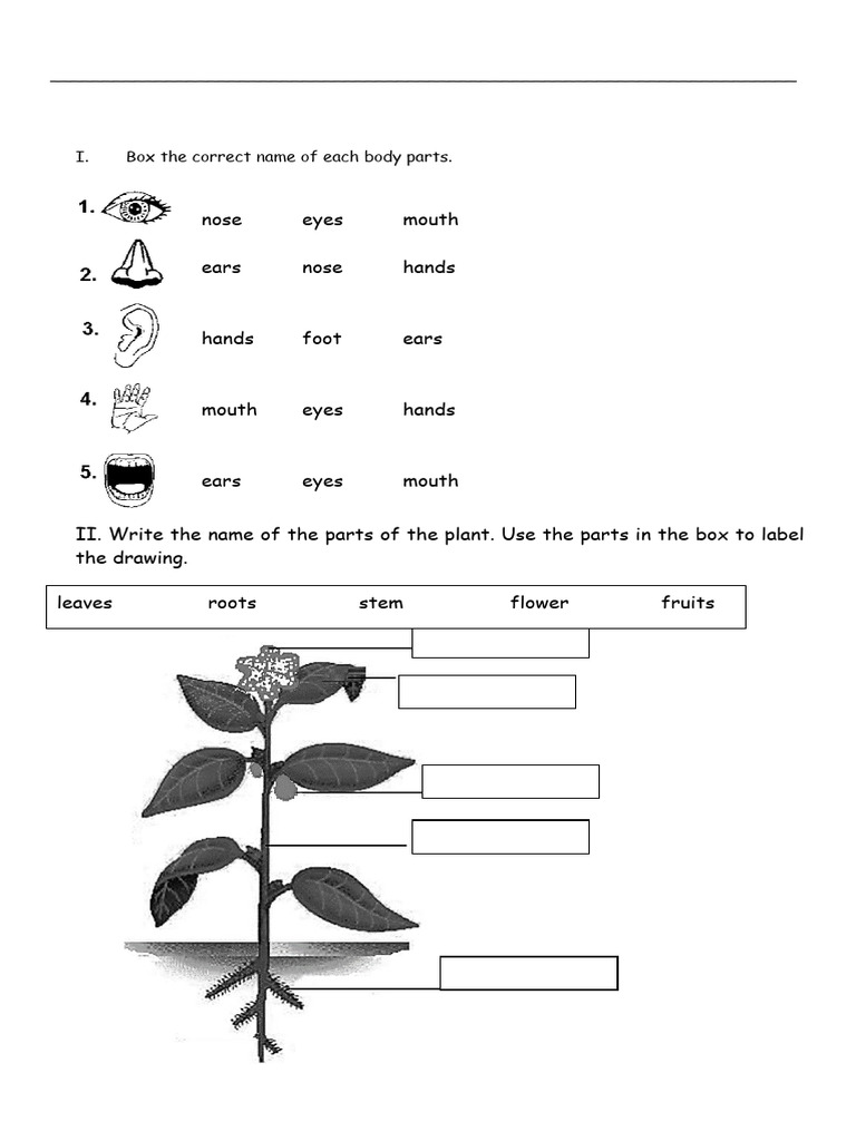 Grade 1 Sses Assessment Reviewer | PDF