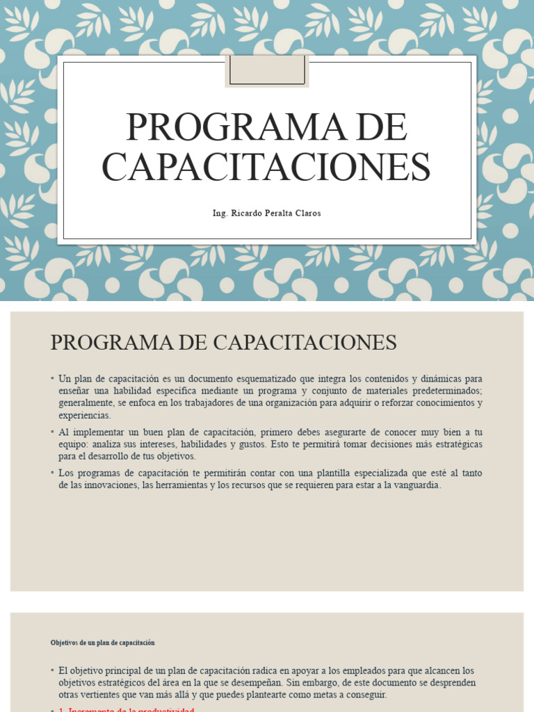 Programa de Capacitaciones | PDF | Business | Economias