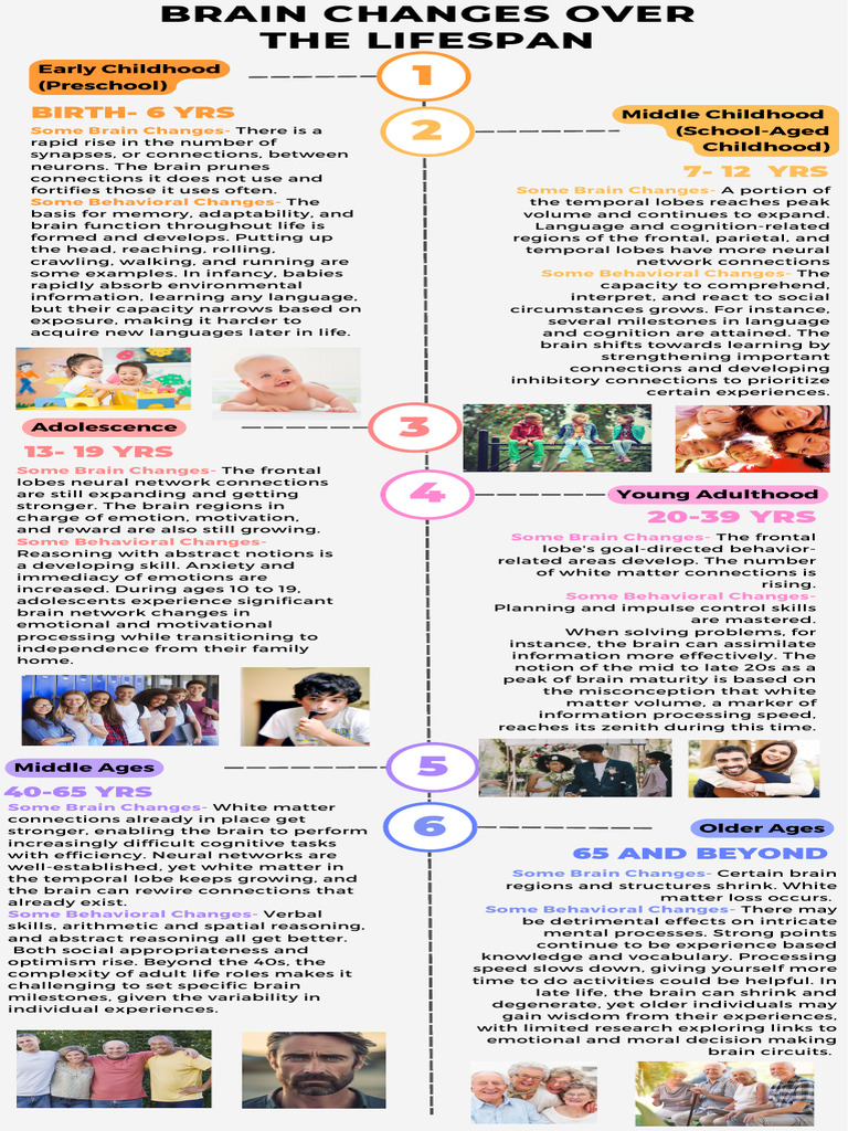 Timeline- Emma W | PDF | Brain | Frontal Lobe