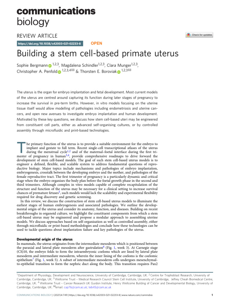 Building a Stem Cell-based Primate Uterus | PDF | Menstrual Cycle | Uterus
