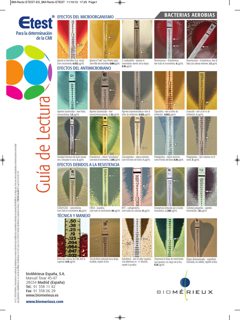 ETEST Guia de Lectura Bacterias 230921 101922 | PDF | Biología | Las ...