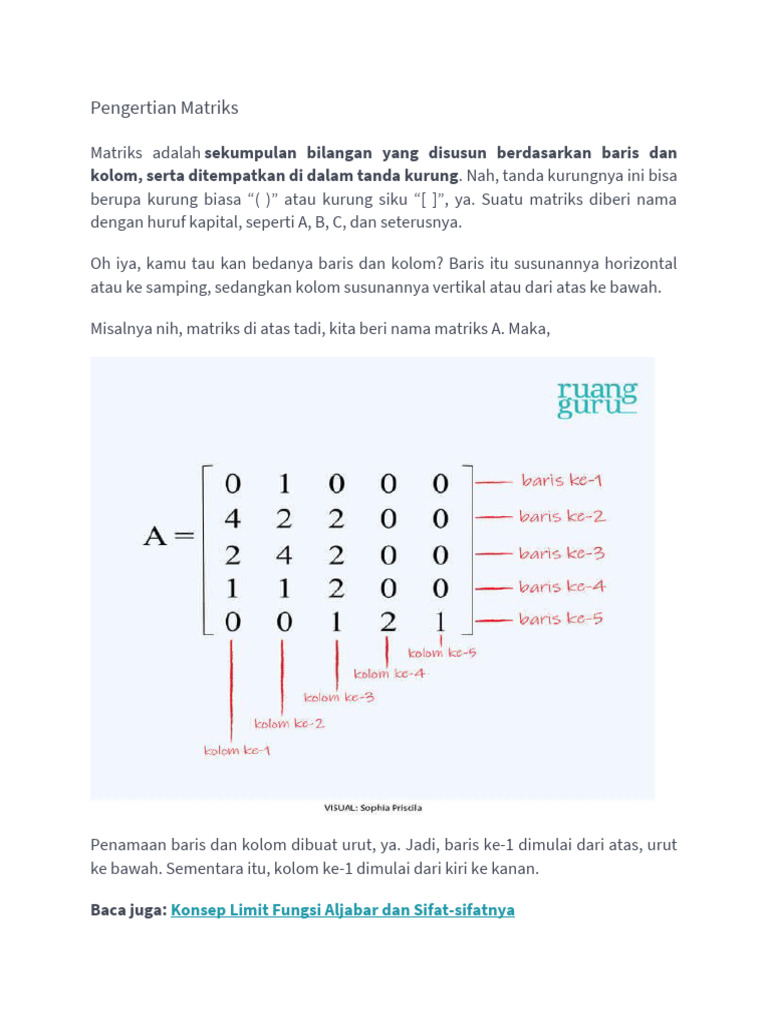 Pengertian Matriks | PDF