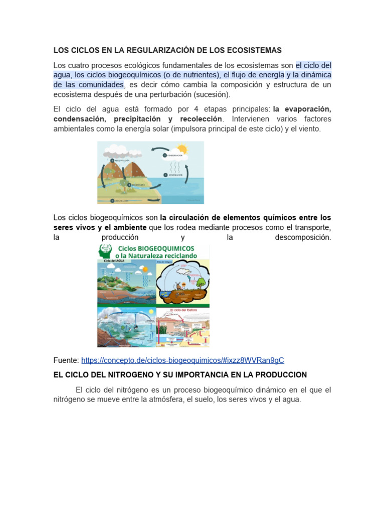 Ciclos Ecológicos y su Importancia | PDF | Nitrógeno | Fotosíntesis