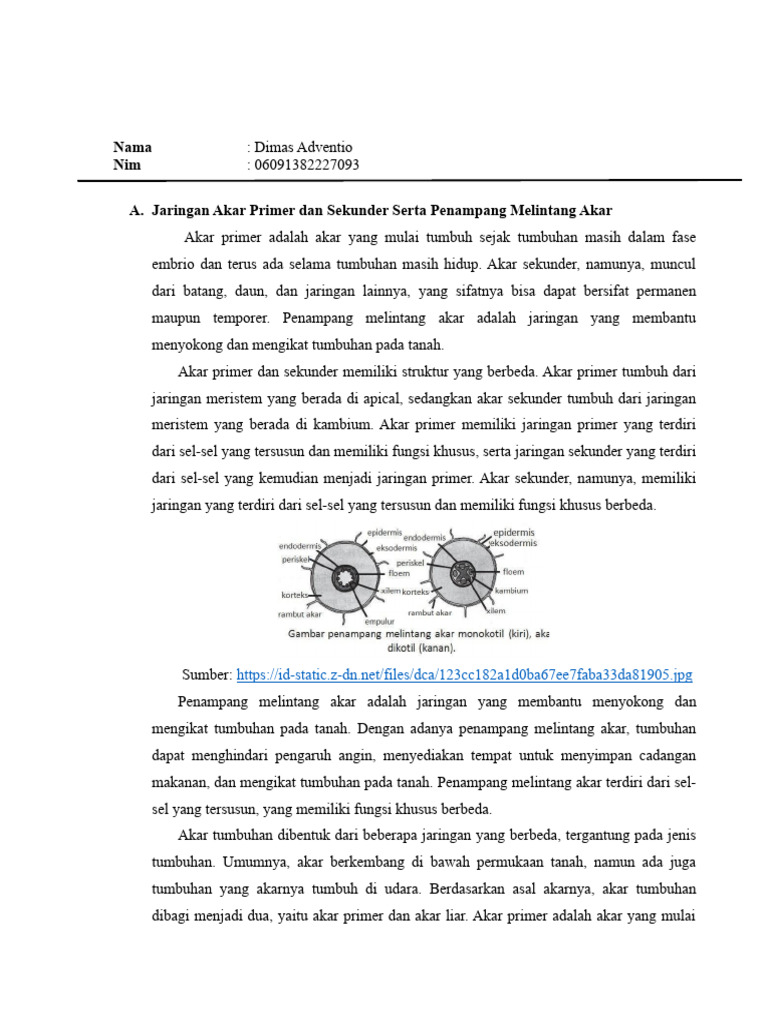 Tugas Anatomi Tumbuhan - Dimas | PDF