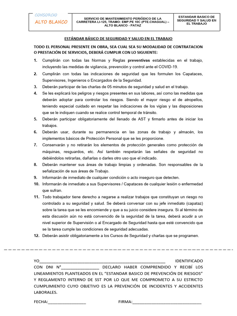 Anexo ESTANDAR BASICO DE SST | PDF | Tecnología