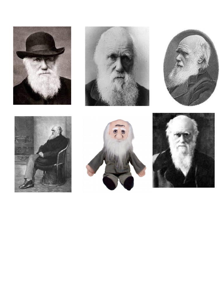 Darwin | PDF
