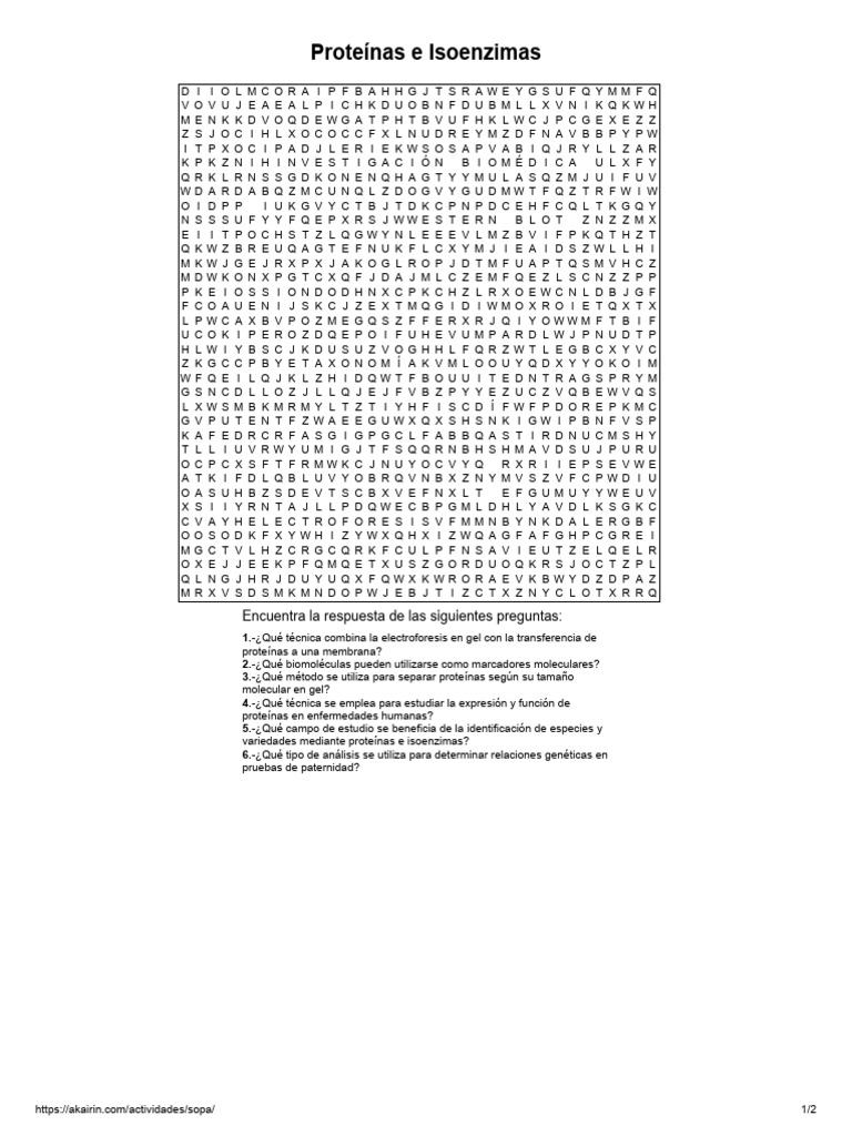 Biología molecular sopa de letras | PDF | Proteínas | Macromoléculas