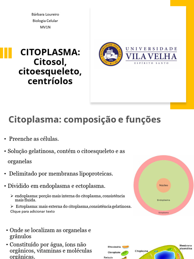 Estrutura e Funções do Citoplasma | PDF | Célula (Biologia) | Citoesqueleto