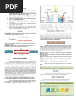 Estrutura Da Pilha de Daniell | PDF | Eletroquímica | Eletrodo