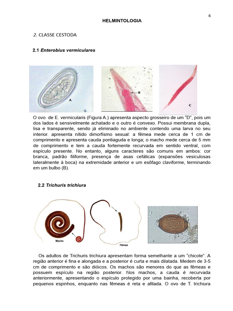 Atlas de Parasitologia - Helmintos LEID | PDF | Membrana celular | Ovo