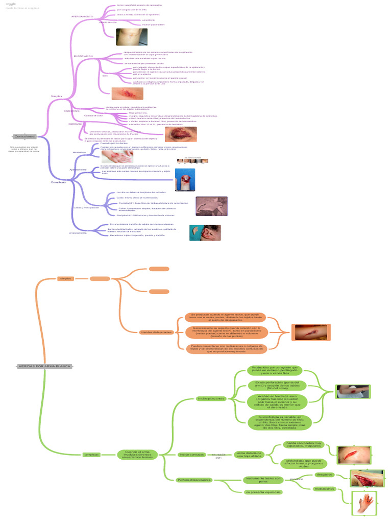 MEDICINA LEGAL - DIAGRAMA HERIDAS POR ARMA BLANCA | PDF | Piel | Anatomía