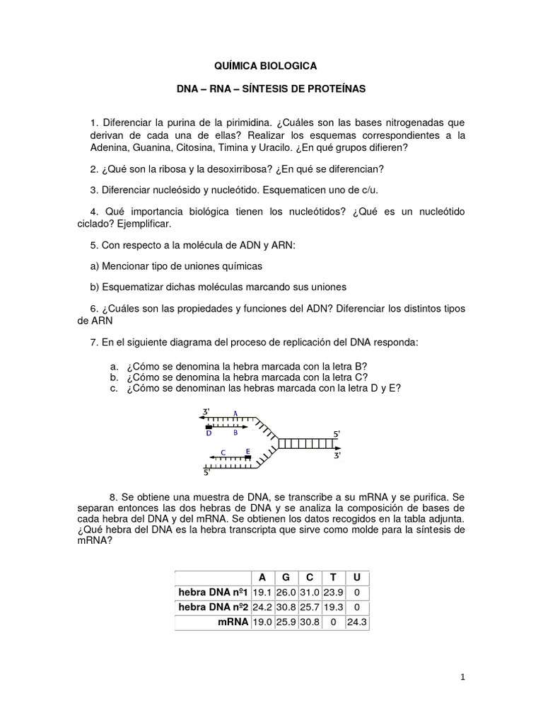 ARN y Síntesis de Proteínas | PDF | Adn | Rna