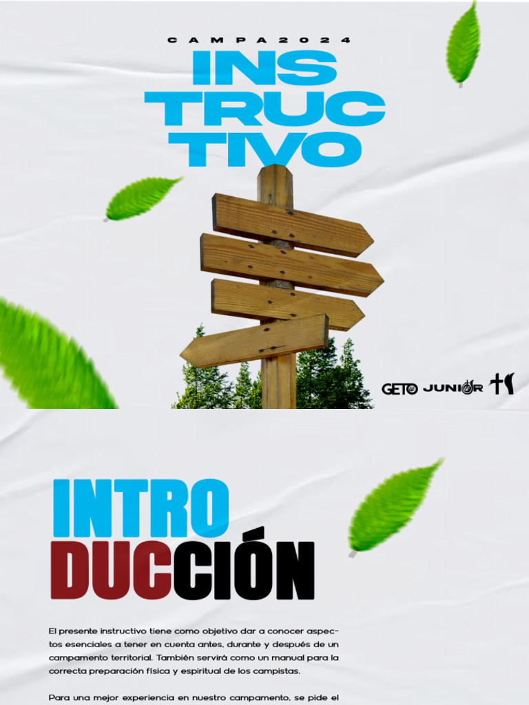 Instructivo Campa 2024 Permanece | PDF