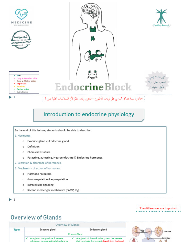 1.Introduction to the endocrine physiology | PDF | Hormone | Endocrine System