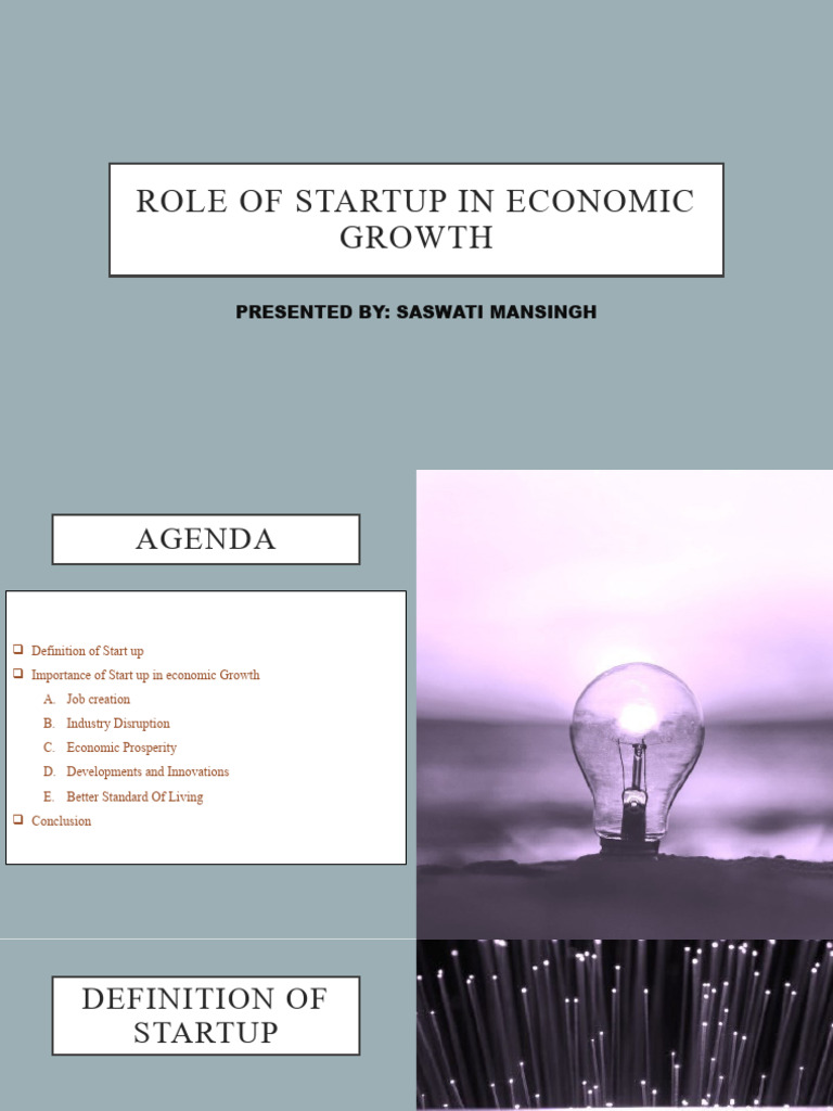 Role of Startup in Economic Growth | PDF | Startup Company | Small ...