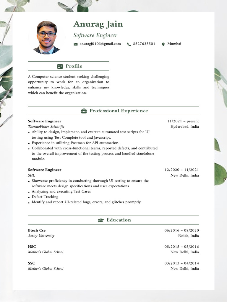 Anurag Jain CV | PDF | Software Bug | Automation