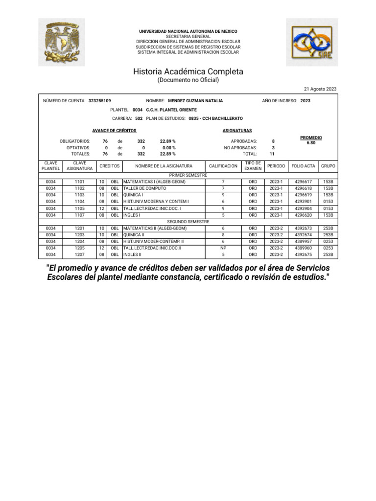 SIAE (Panel de Control) | PDF