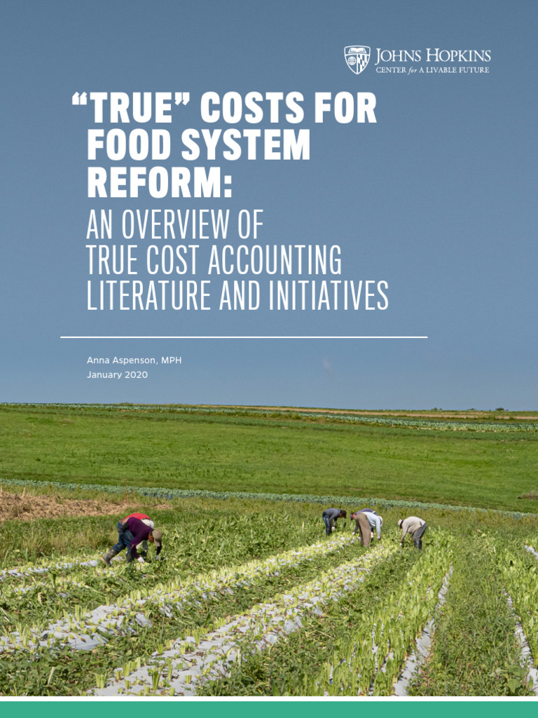 True Cost For Food System Reform 2020 | PDF | Sustainability | Agroecology