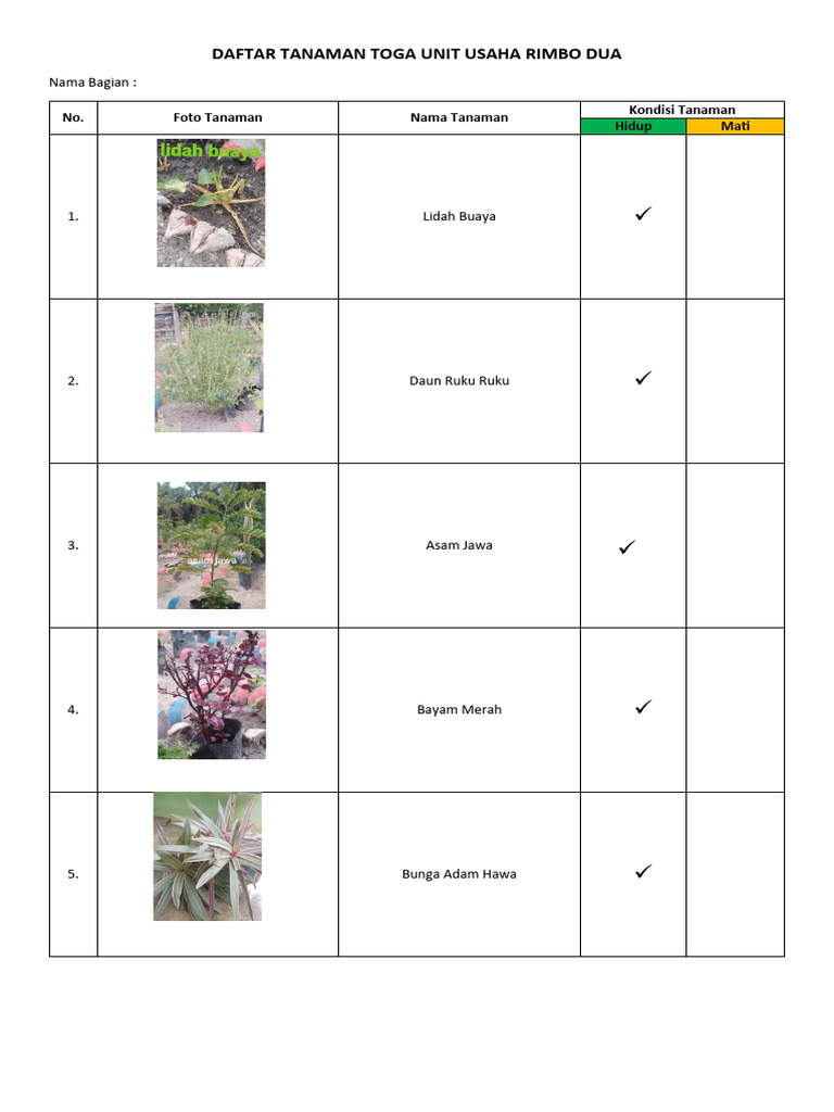 Daftar Tanaman Toga Unit Usaha Rimbo Dua | PDF