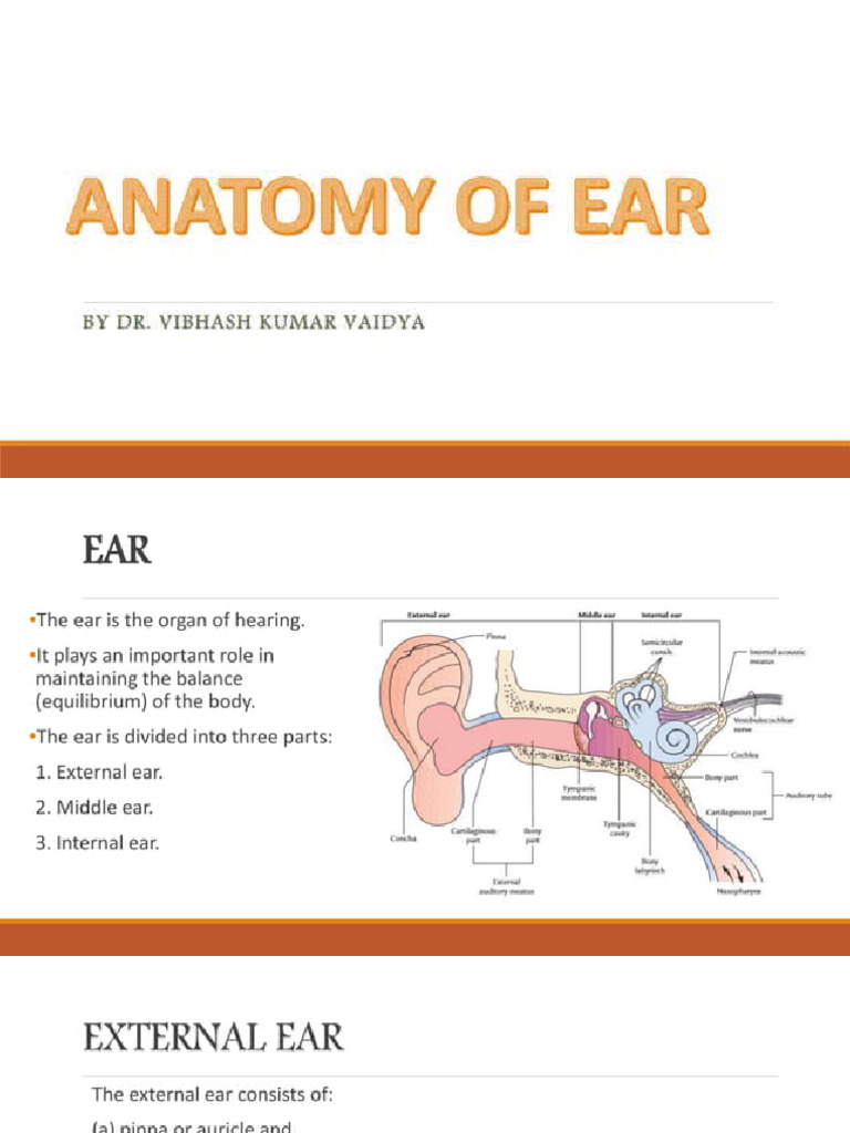 VibashG Anatomy of Ear 140353036 | PDF