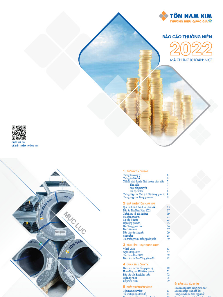 NKG - Bao Cao Thuong Nien 2022 | PDF