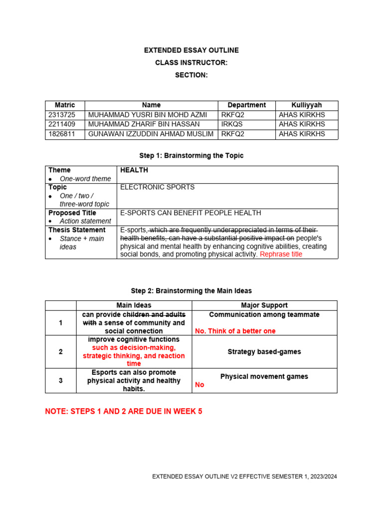 Extended - Essay - Outline 1 | PDF | Mental Health | Disciplines