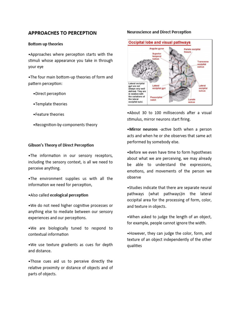 Perception Theories Overview | PDF | Perception | Cognitive Science