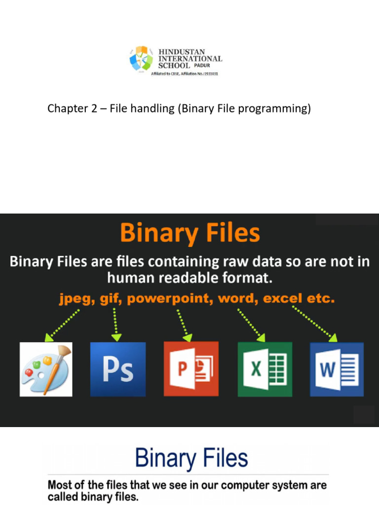 Chapter 2 File Handling Binary File Pdf Text File Computer File 1323