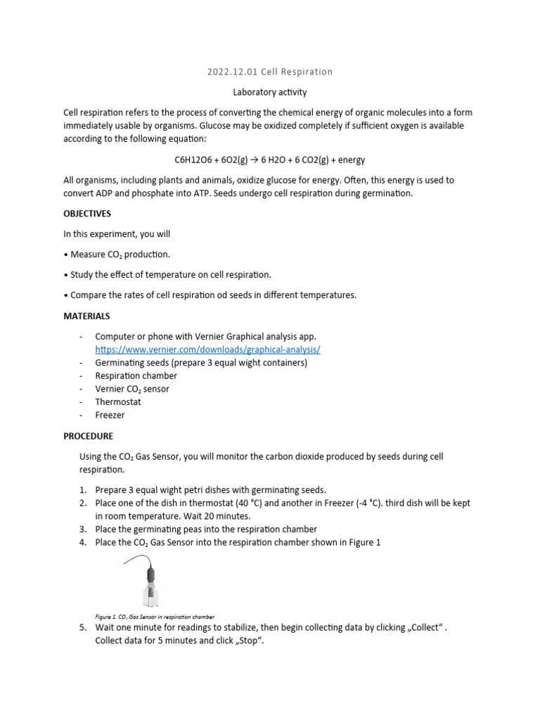 Cell Respiration Lab | PDF | Cellular Respiration | Carbon Dioxide