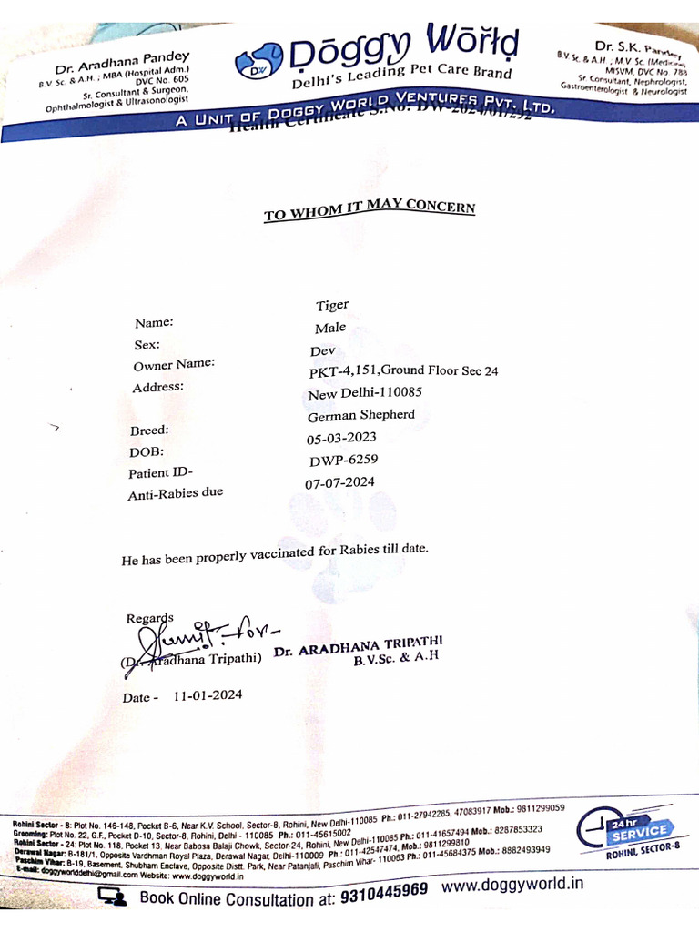 Anti Rabies Vaccination Certificate | PDF