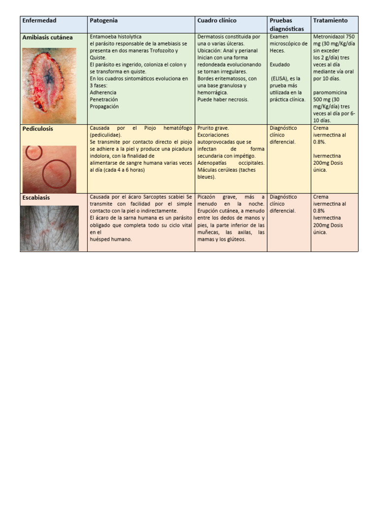 Infecciones Parasitarias de La Piel. | PDF | Microbiología | Medicina CLINICA