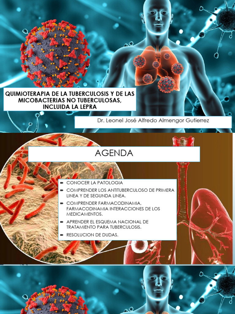 TUBERCULOSIS | PDF | Mycobacterium | Tuberculosis