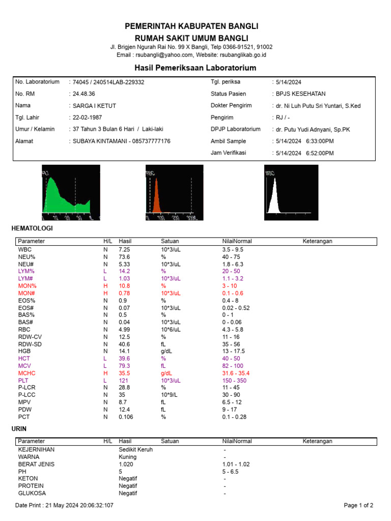 Hasil Lab RSU Bangli Mei 2024 | PDF