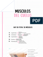 Musculos de La Nuca | PDF | Anatomía humana | Sistema musculoesquelético