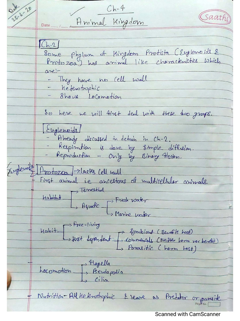 Animal Kingdom Handwritten Notes For Neet | PDF
