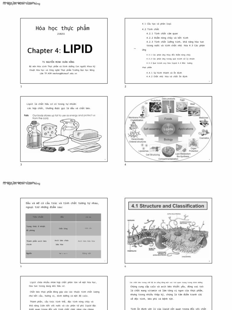 FC4 Lipid | PDF