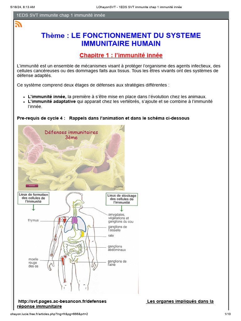 Schéma de l'immunité innée 3ème | PDF | Système immunitaire | Inflammation