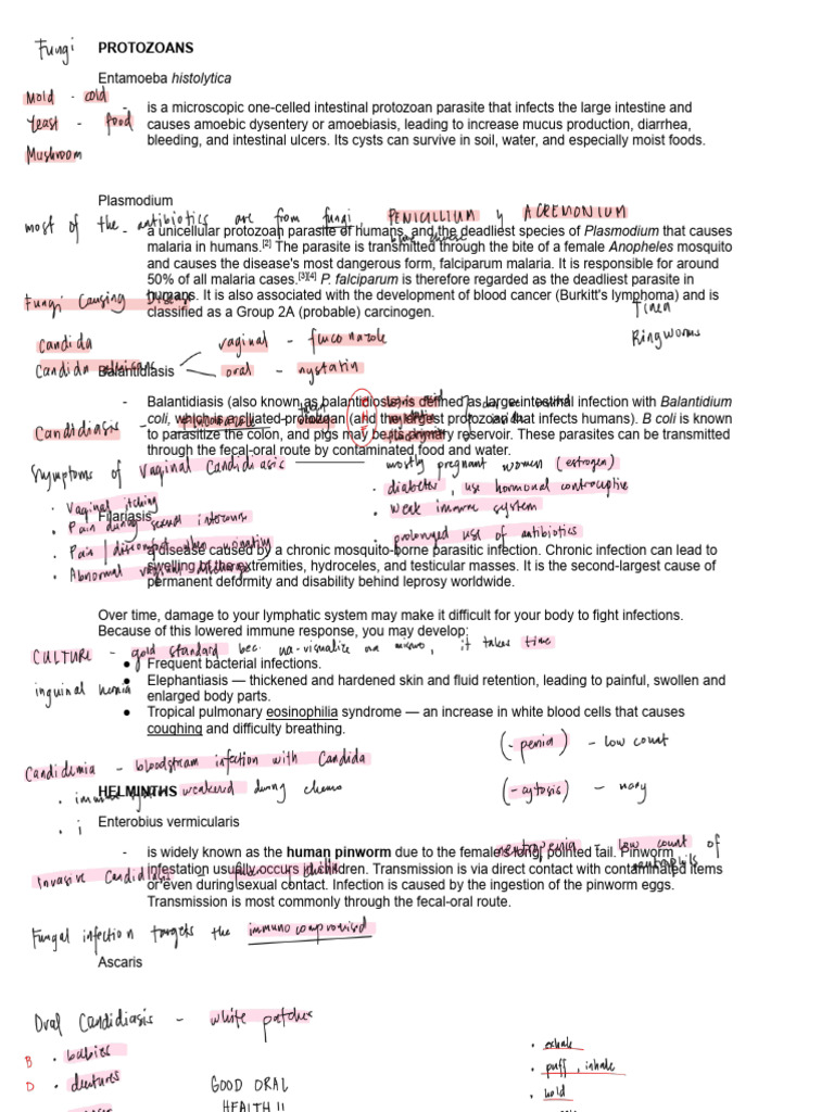 MICROBIOLOGY & PARASITOLOGY Notes | PDF | Microbiology | Diseases And ...