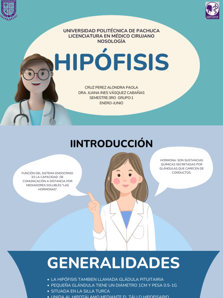 Hipófisis - 20240516 - 213546 - 0000 | PDF | Glándula pituitaria ...