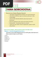 Afaan Oromoo Kutaa 6ffaa | PDF