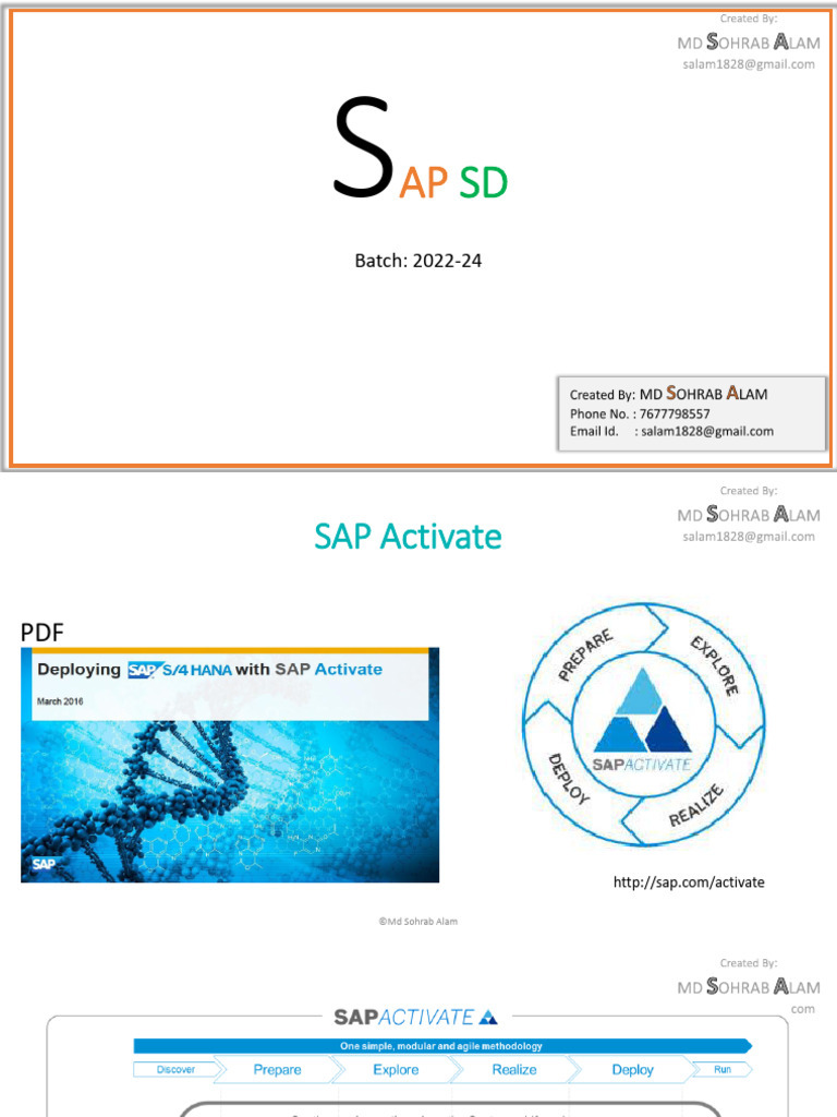SAP SD_Full Notes | PDF | Cargo | Supply Chain Management