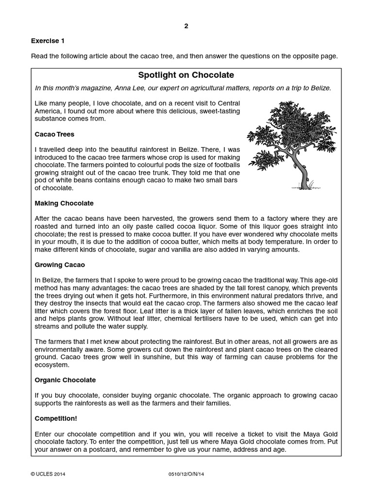 Spotlight On Chocolate | PDF | Cocoa Bean | Chocolate