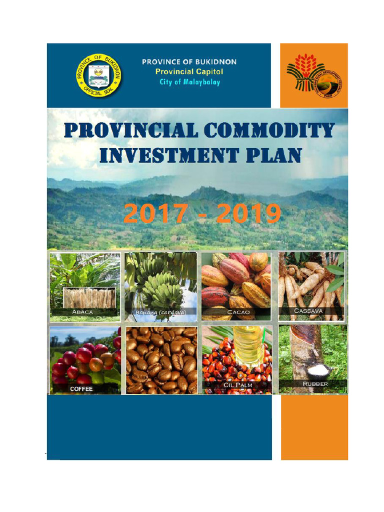 PCIP 2017 - 2019.final | PDF | Poverty | Poverty & Homelessness