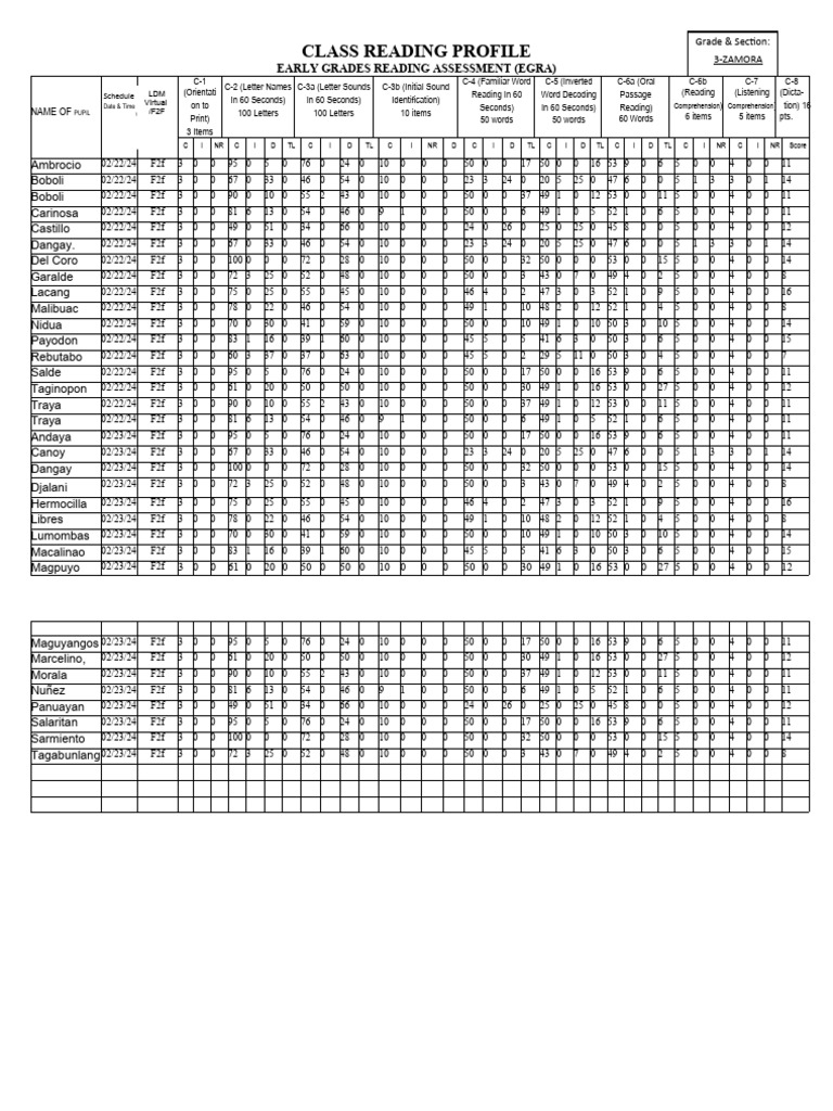 Class Reading Profile-Zamora | PDF