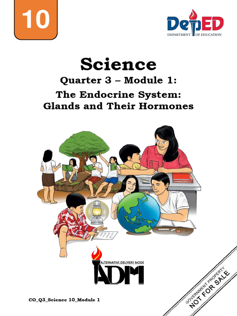 Q3 Module 1 The Endocrine System | PDF | Luteinizing Hormone ...