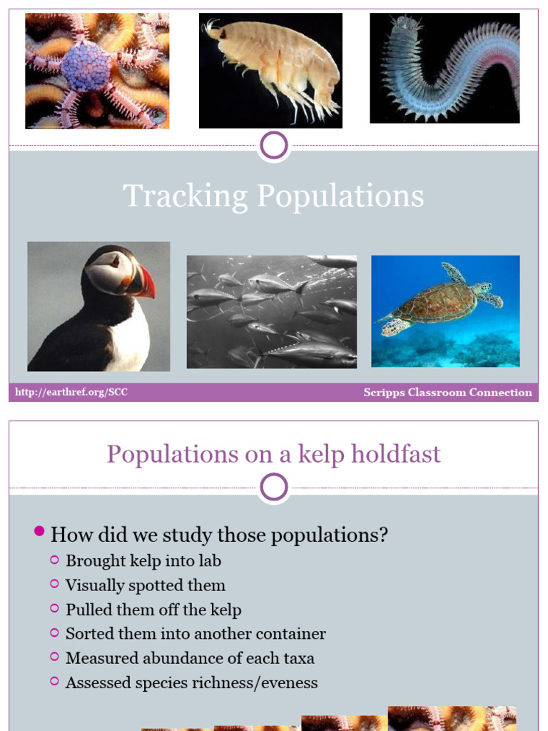 Tracking Populations DLP | PDF